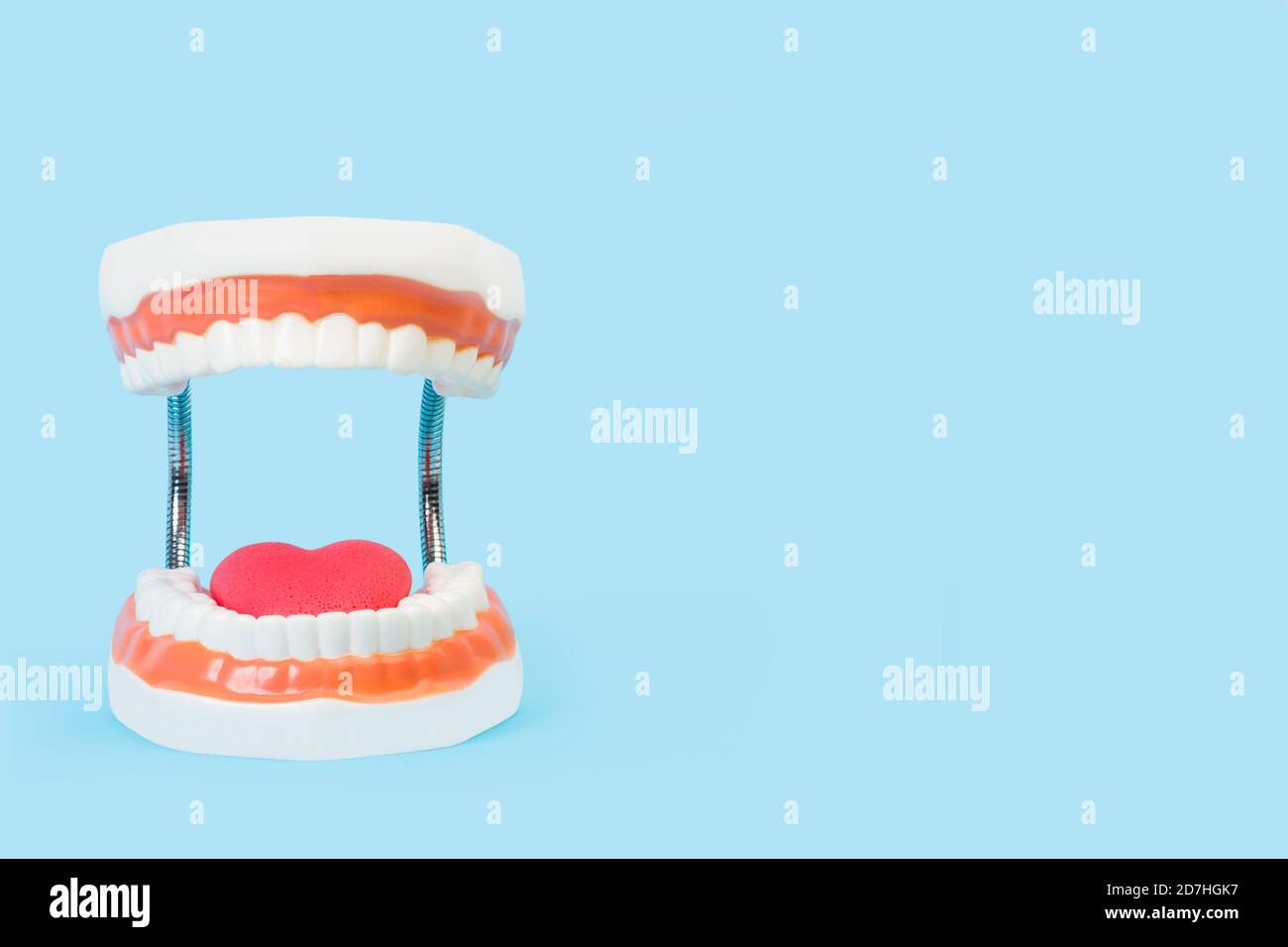 A plastic toy mouth with teeth and tongue on a light blue background ...