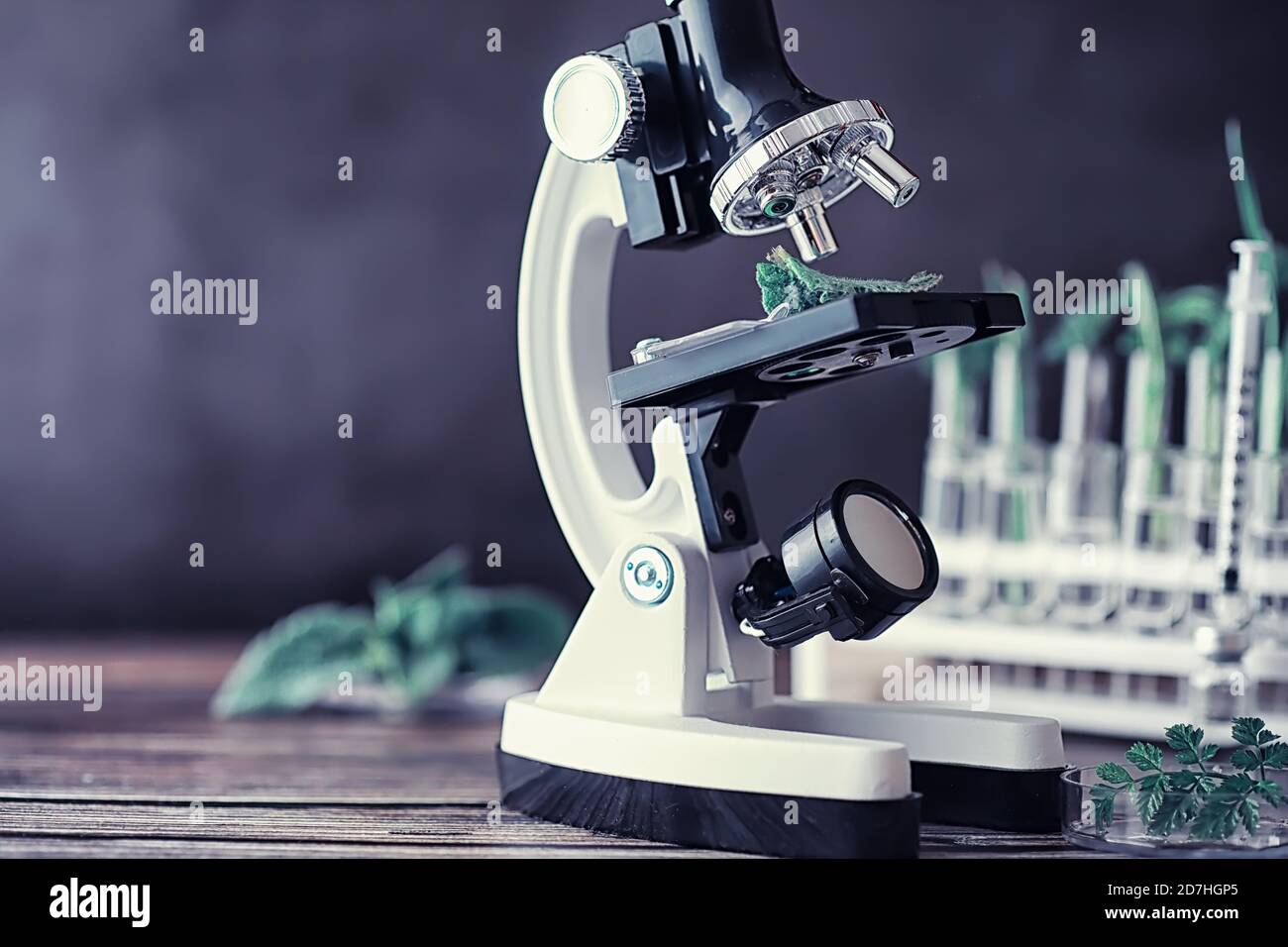 Microscope and partings on the table in the laboratory. Study on GMOs ...