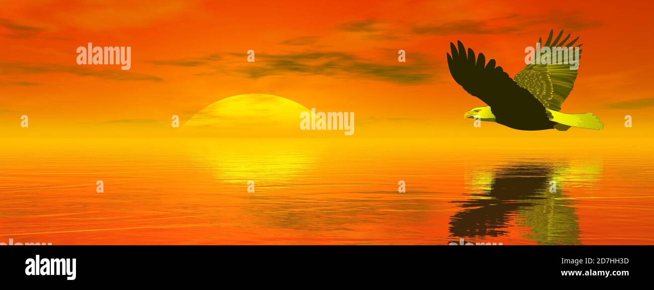 American bald eagle at sunrise hi-res stock photography and images - Alamy