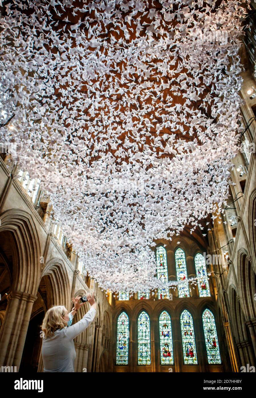 Michele Gee takes a photograph of 'The Wing and A Prayer', an ...