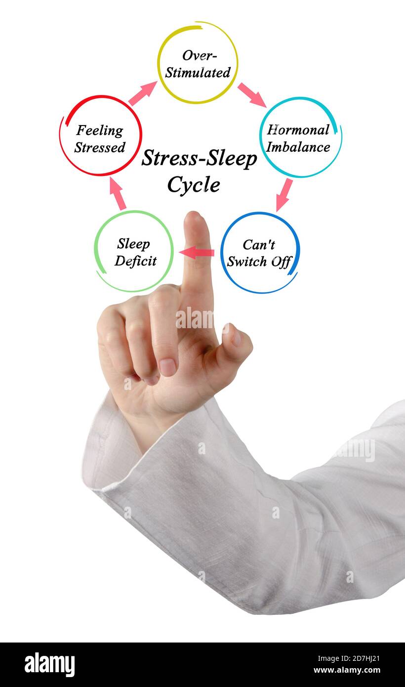 Five Components of Stress-Sleep Cycle Stock Photo - Alamy