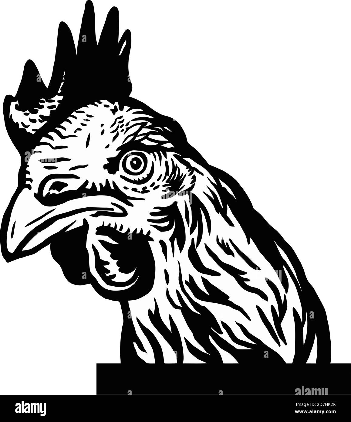 Curious chicken, vector sketch illustration design template. Engraved ...