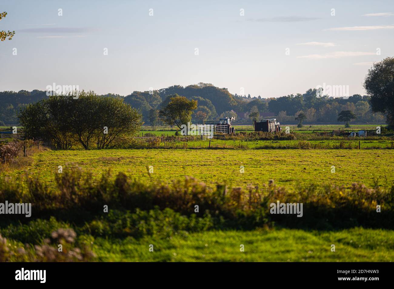 in the evening in the sunlight, tractors drive over hill and dale in ...