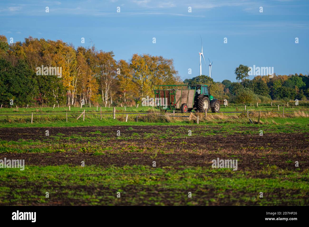 in the evening in the sunlight, tractors drive over hill and dale in ...