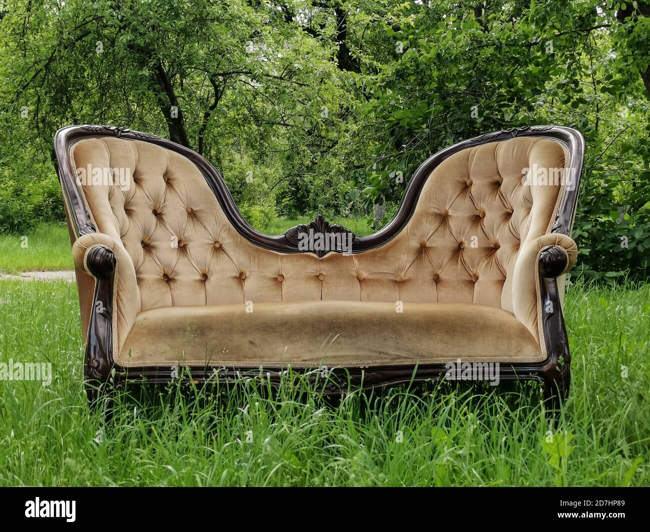 Luxury vintage sofa at green grass in the garden. Spring time. Front ...