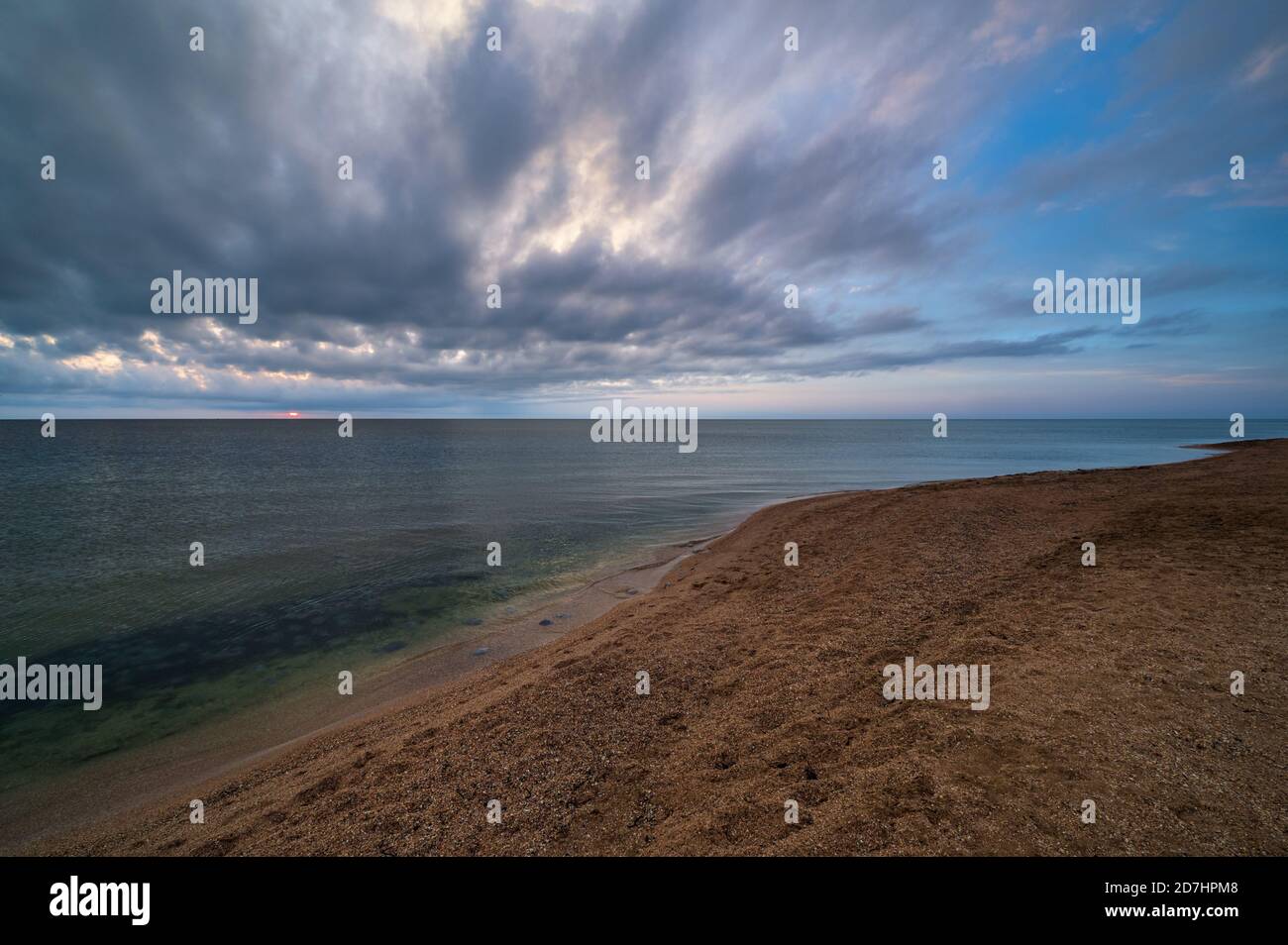 Colorful sea beach sunrise landscape with jellyfish in water (Strilkove ...