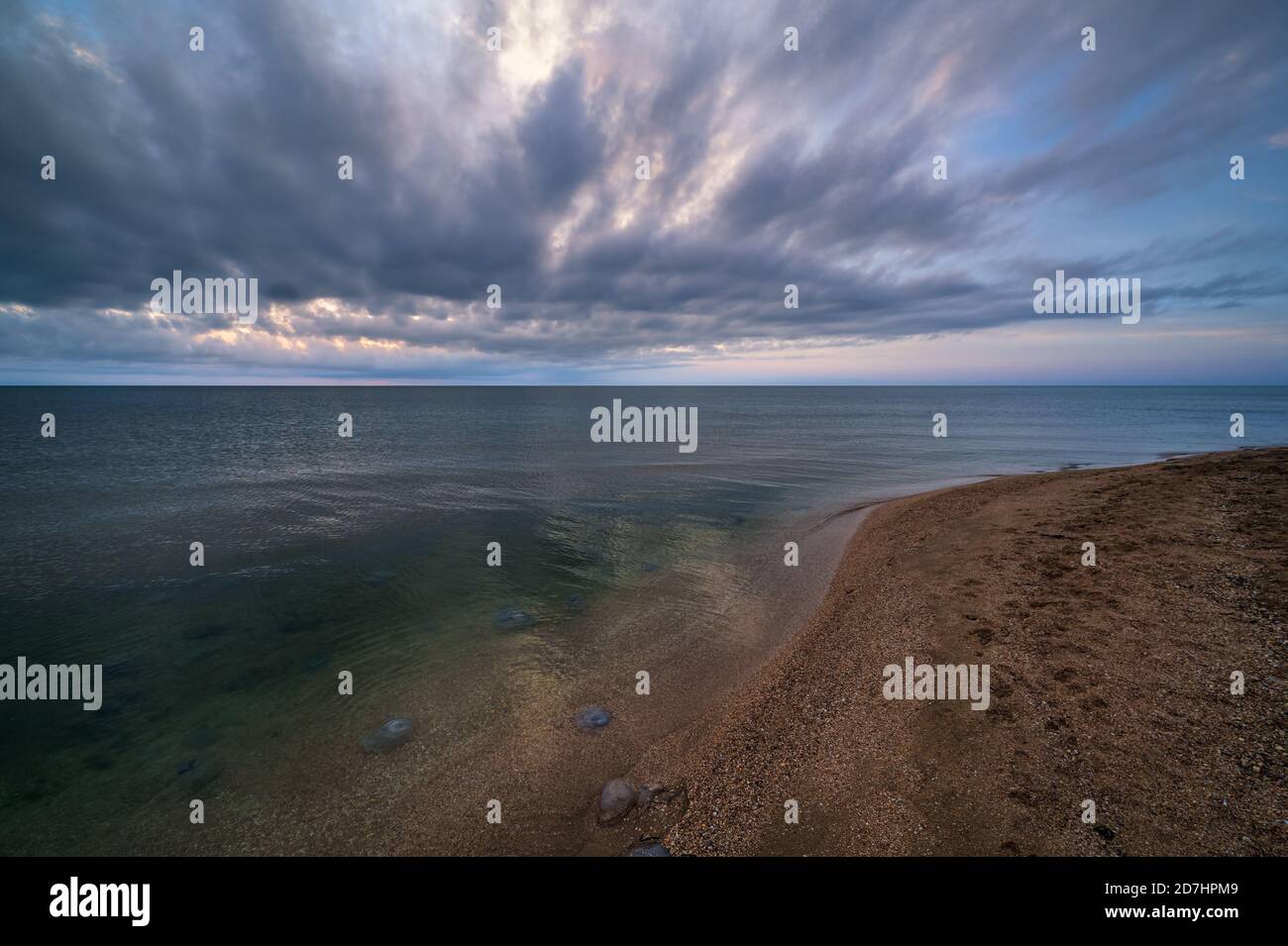 Colorful sea beach sunrise landscape with jellyfish in water (Strilkove ...