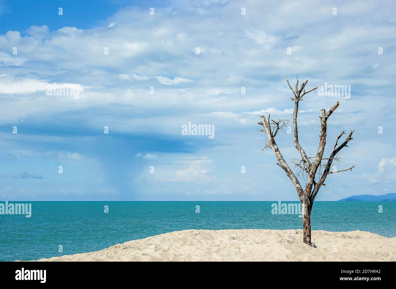 tropical blue ocean with plants and cloudy sky Stock Photo - Alamy