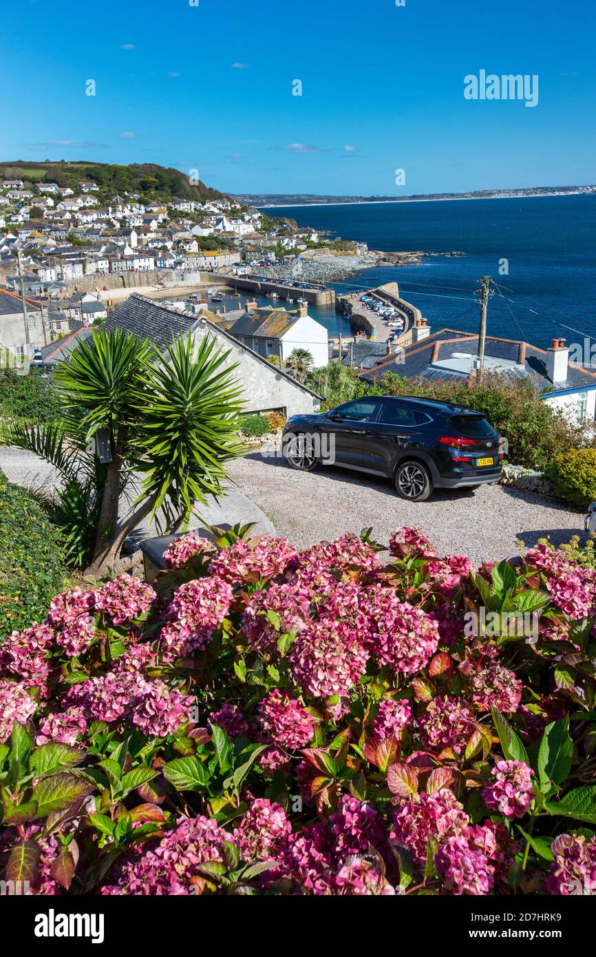 Mousehole tree hi-res stock photography and images - Alamy
