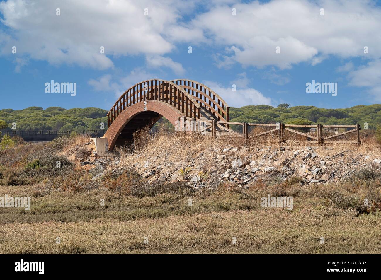 Wooden elevated boardwalk hi-res stock photography and images - Alamy