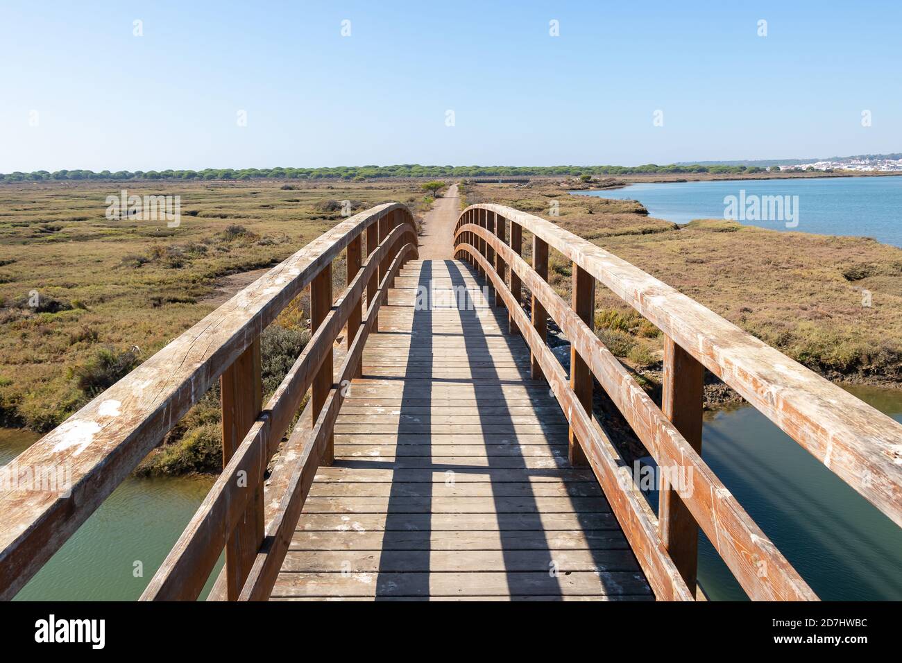 Elevated wooden boardwalk above the marshes of the Rio Piedras in El ...