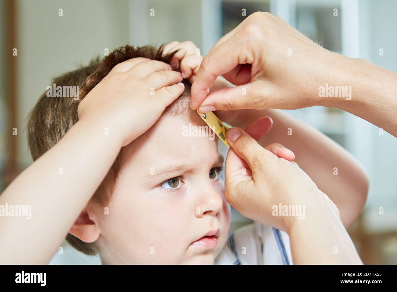 After an accident, the child receives an adhesive plaster on the bump ...