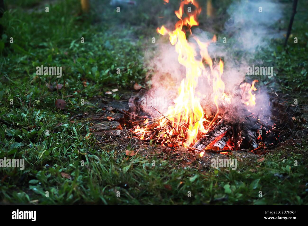 Bonfire in nature. Campfire with flame and coal Stock Photo - Alamy