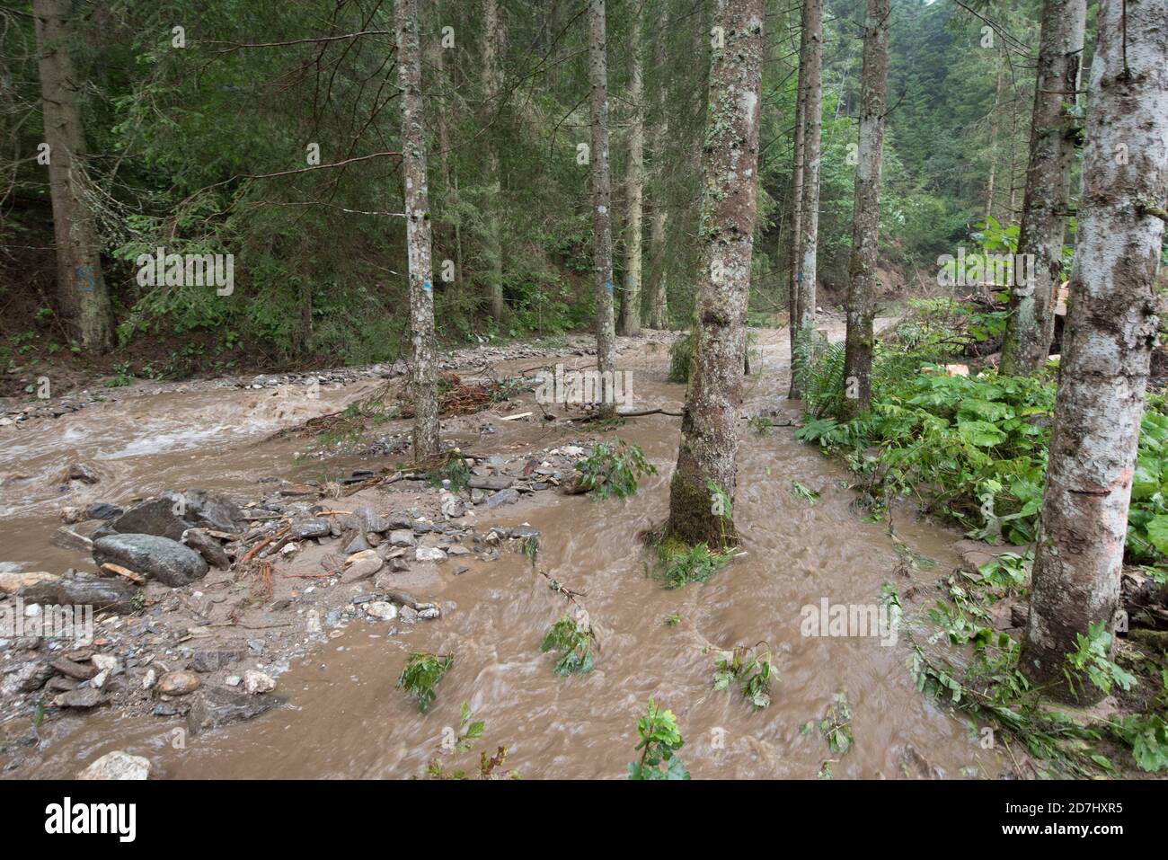 storm damage caused by mudslides, debris and mud after heavy rainfalls ...