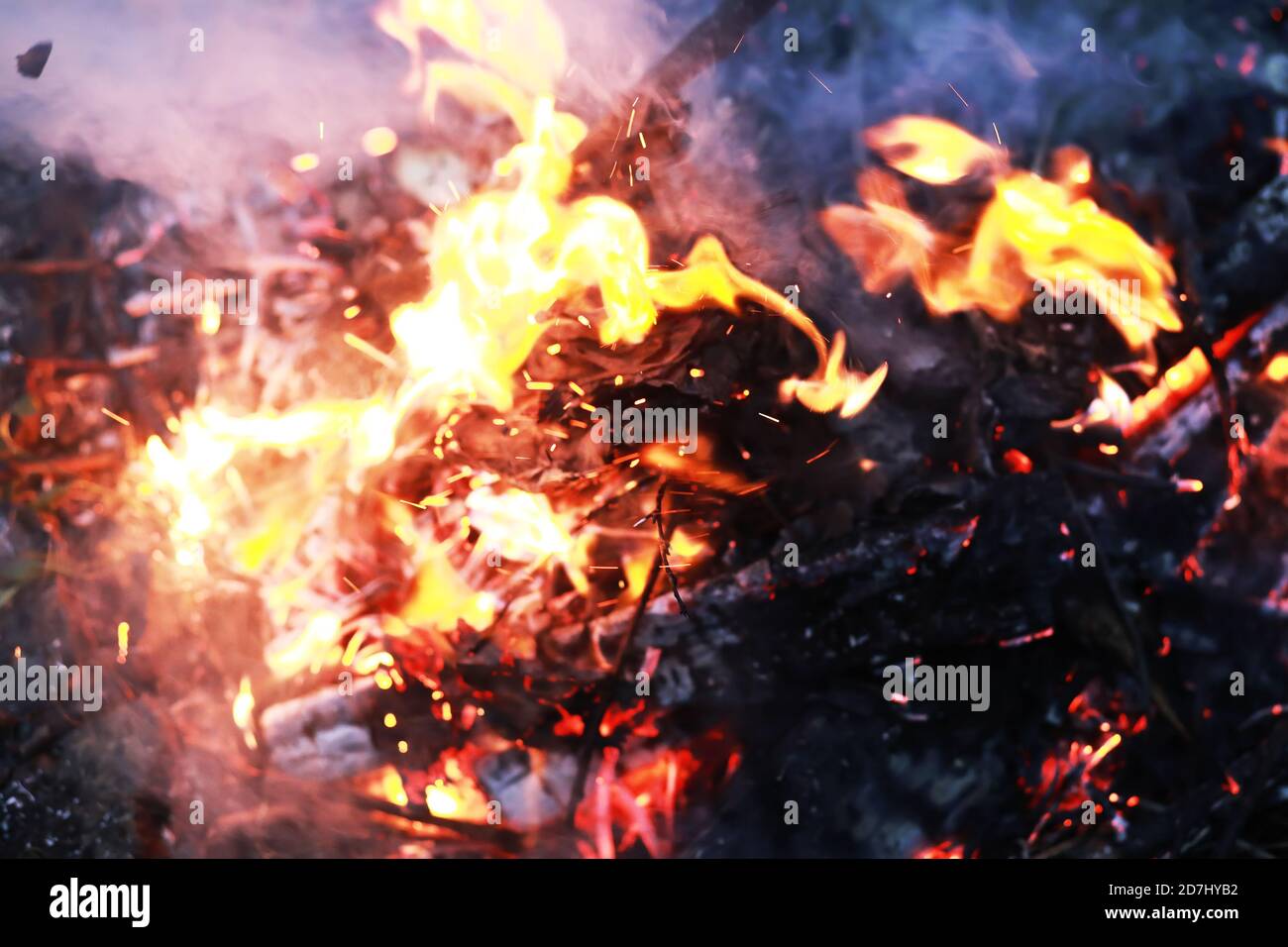Bonfire in nature. Campfire with flame and coal Stock Photo - Alamy
