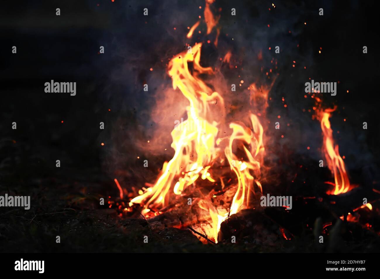 Bonfire in nature. Campfire with flame and coal Stock Photo - Alamy