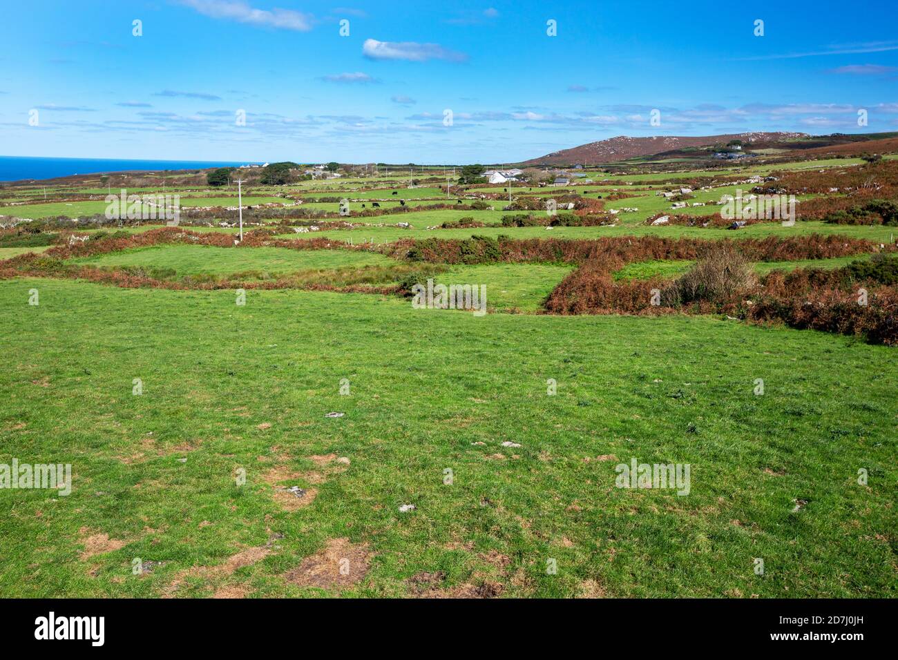 Ancient small field boundaries at Boswednack in west Cornwall, UK Stock ...