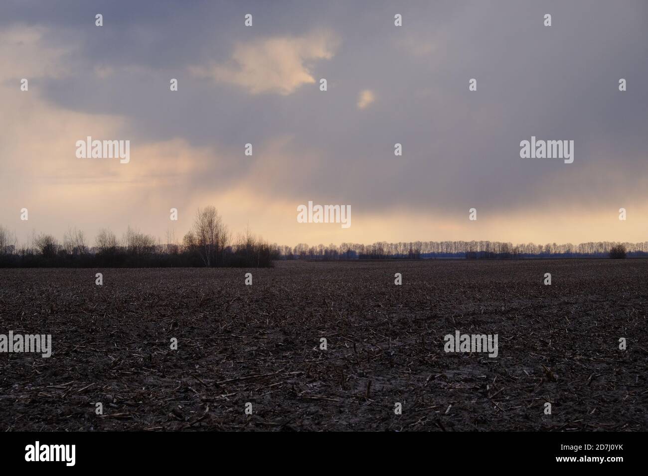 Farm sunlight landscape hi-res stock photography and images - Alamy