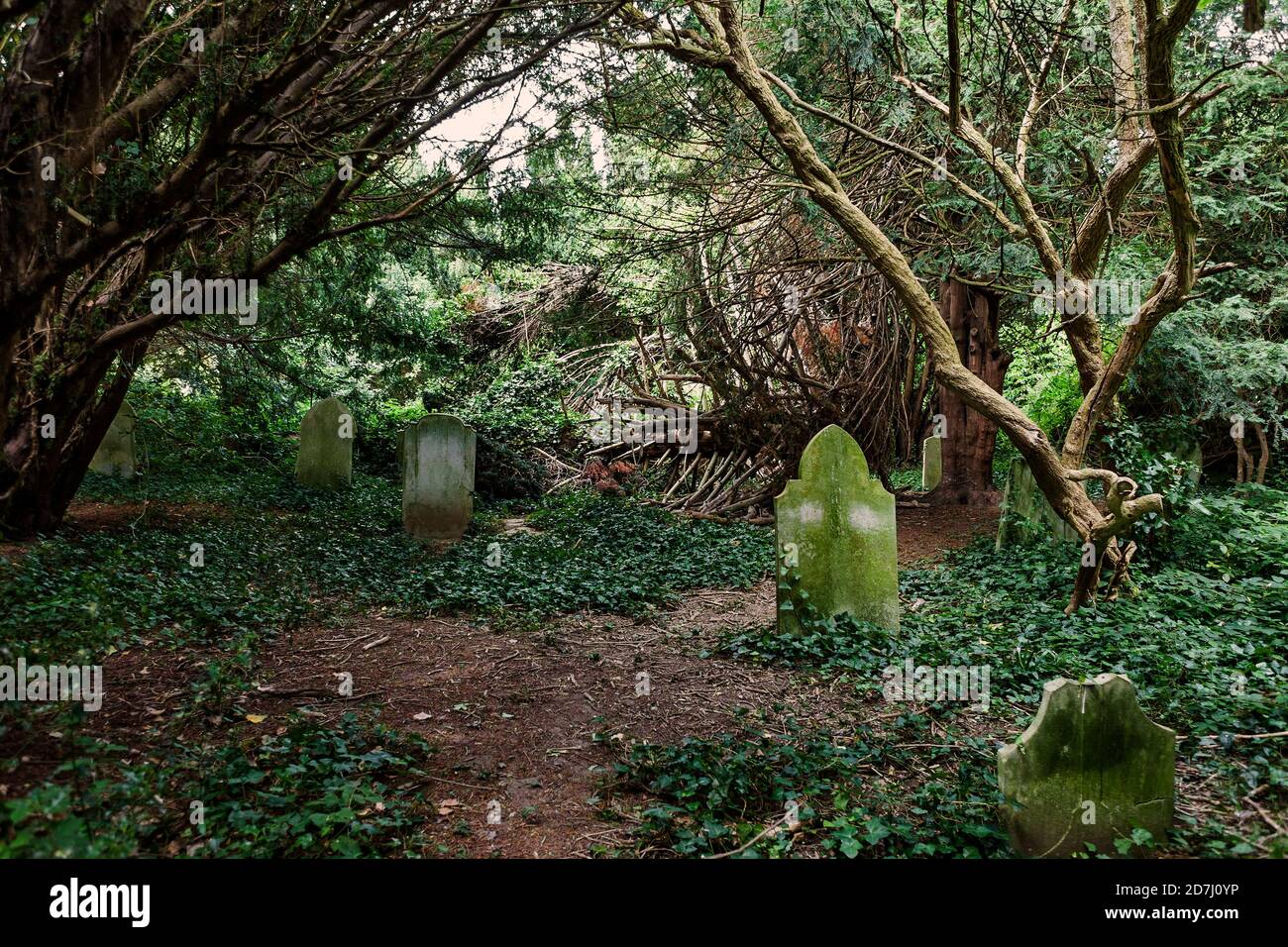 Anns hill cemetery hi-res stock photography and images - Alamy