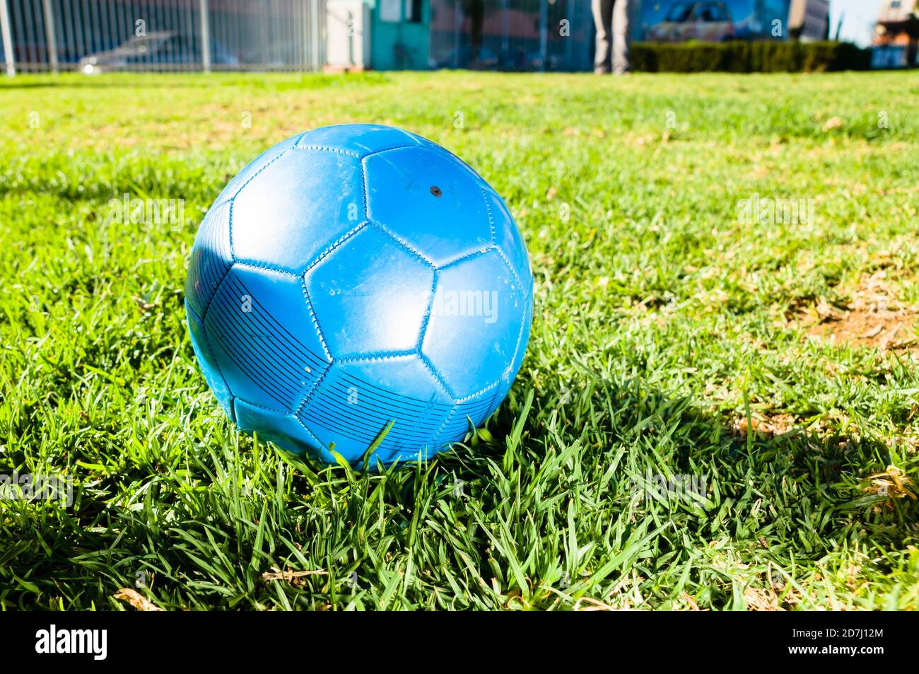 Blue soccer ball in a green grass field Stock Photo - Alamy