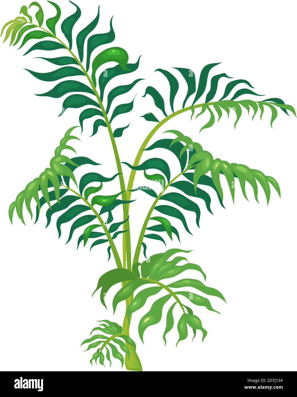 Jungle vegetation cartoon vector illustration Stock Vector Image & Art ...