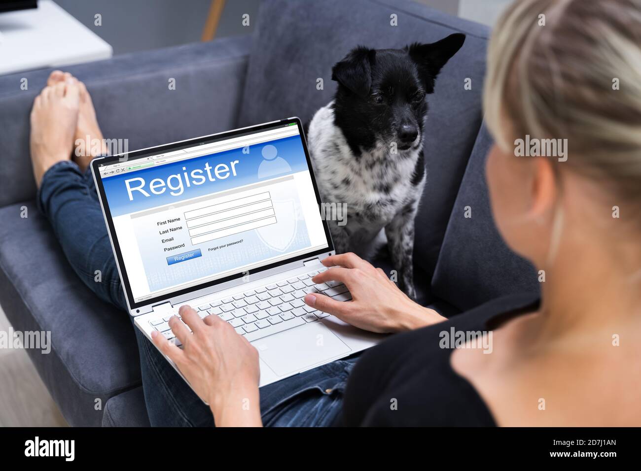 Web Form High Resolution Stock Photography and Images - Alamy