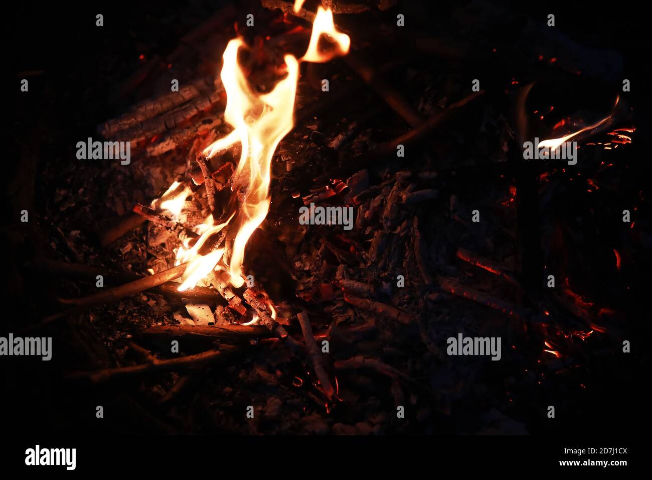 Bonfire in nature. Campfire with flame and coal Stock Photo - Alamy