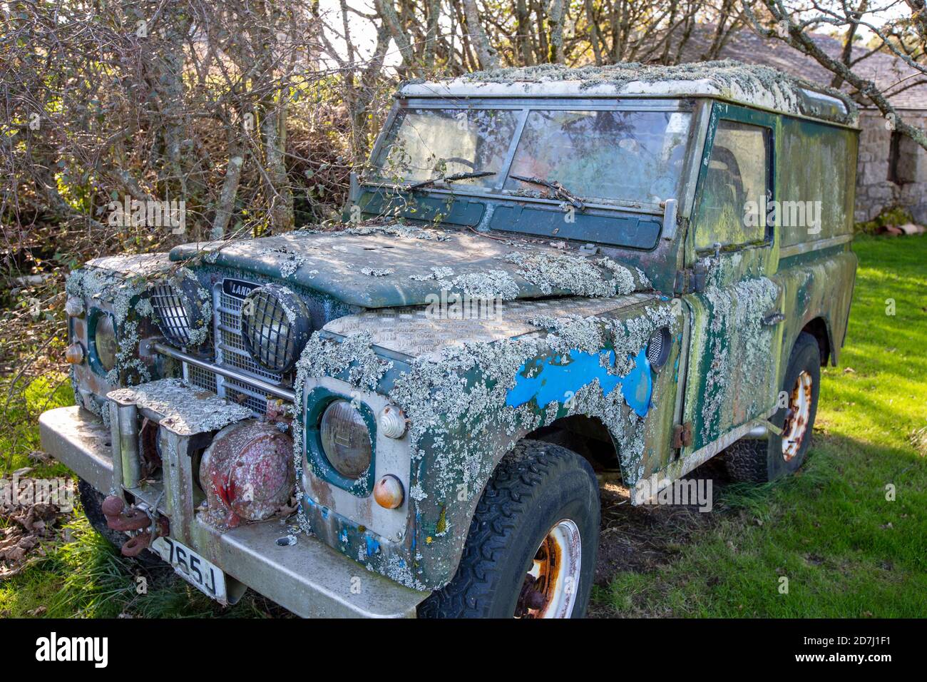 Lichen growing on an old abandoned Land Rover at Bosigran, Cornwall, UK ...