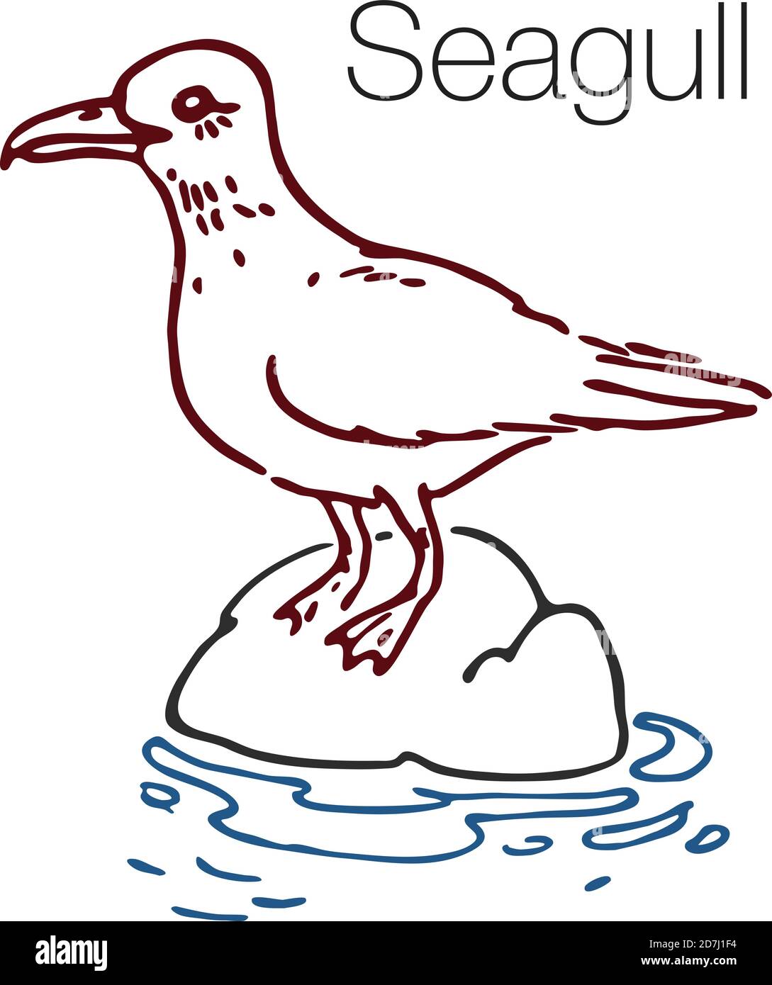 Seagull hand drawn vector illustration Stock Vector Image & Art - Alamy