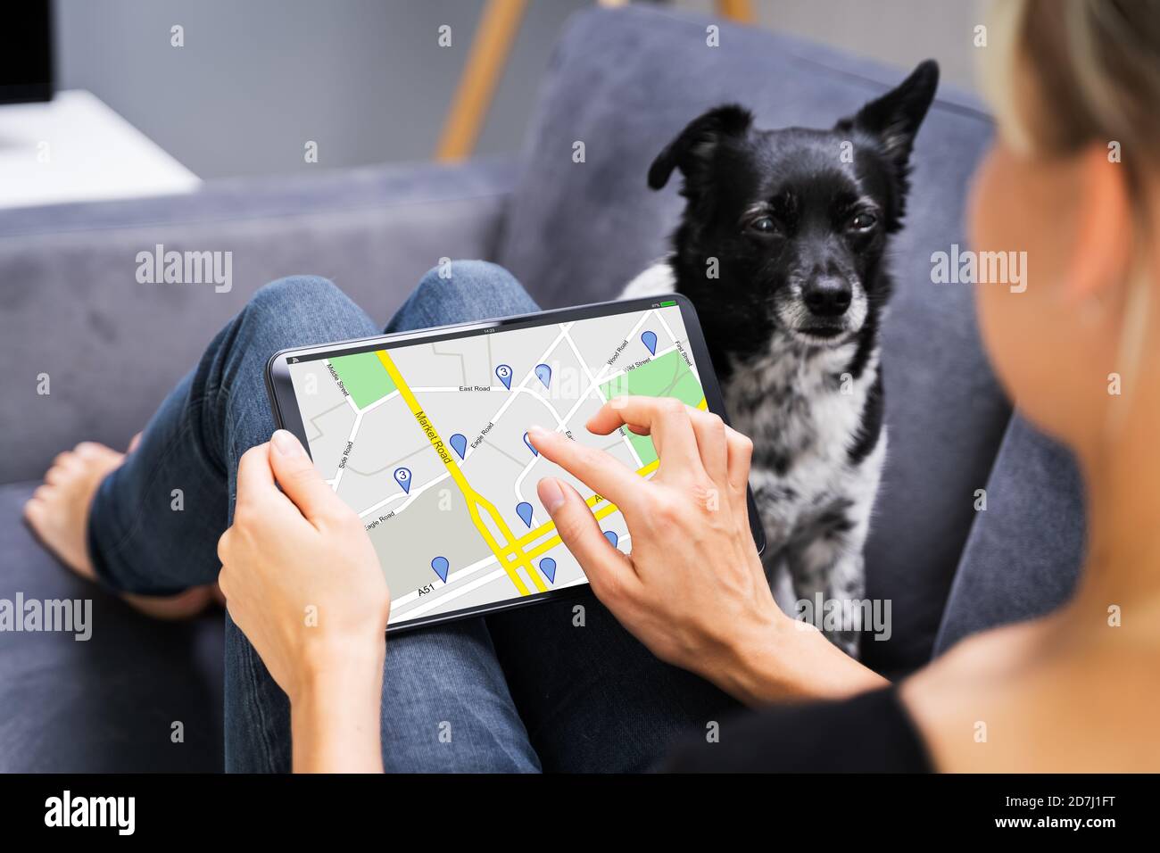Holding GPS Navigator Map On Tablet With Pet Dog Stock Photo - Alamy