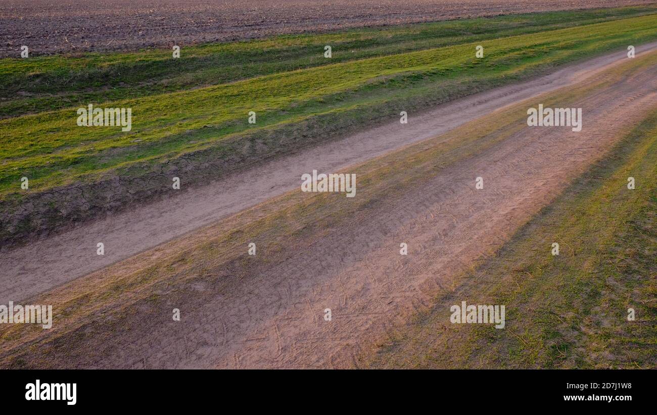Spring grasses on either side of the dirt road. Background Stock Photo ...