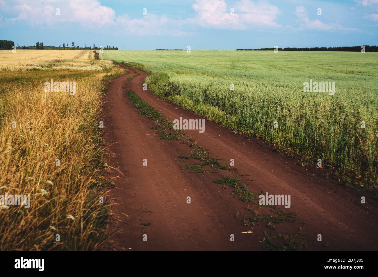 Russia track and field hi-res stock photography and images - Alamy
