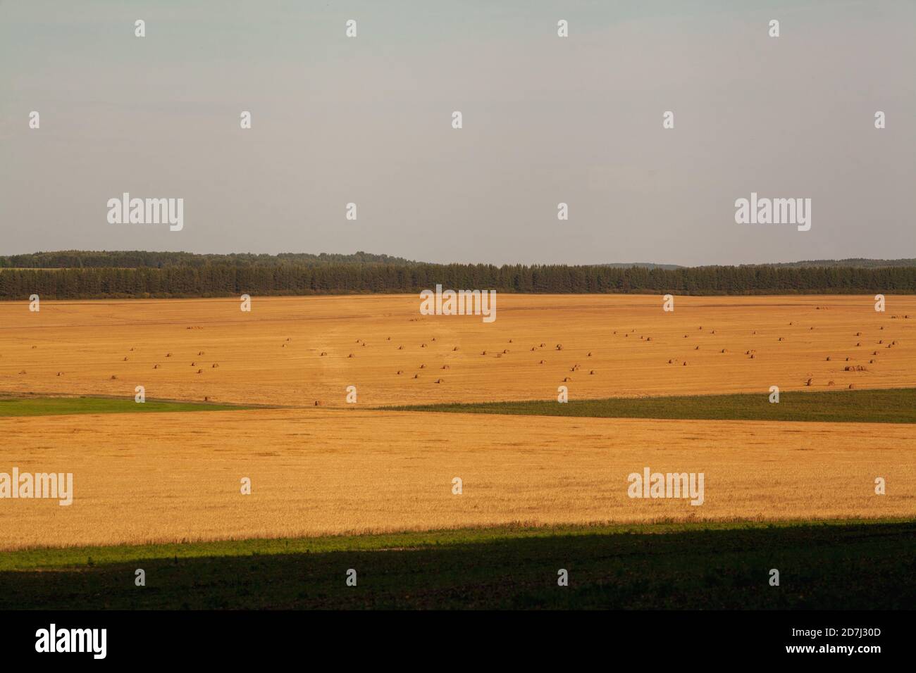 Fields landscapes hi-res stock photography and images - Alamy