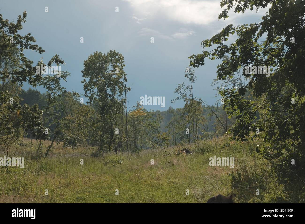 Rural nature scene hi-res stock photography and images - Alamy