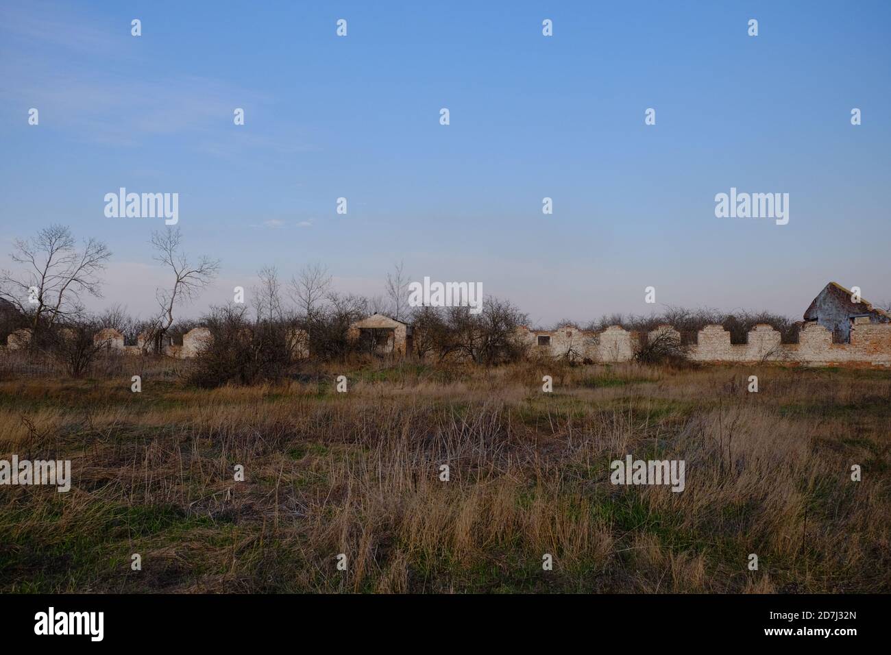 A ruined barn on an abandoned livestock farm. Ruins overgrown with ...
