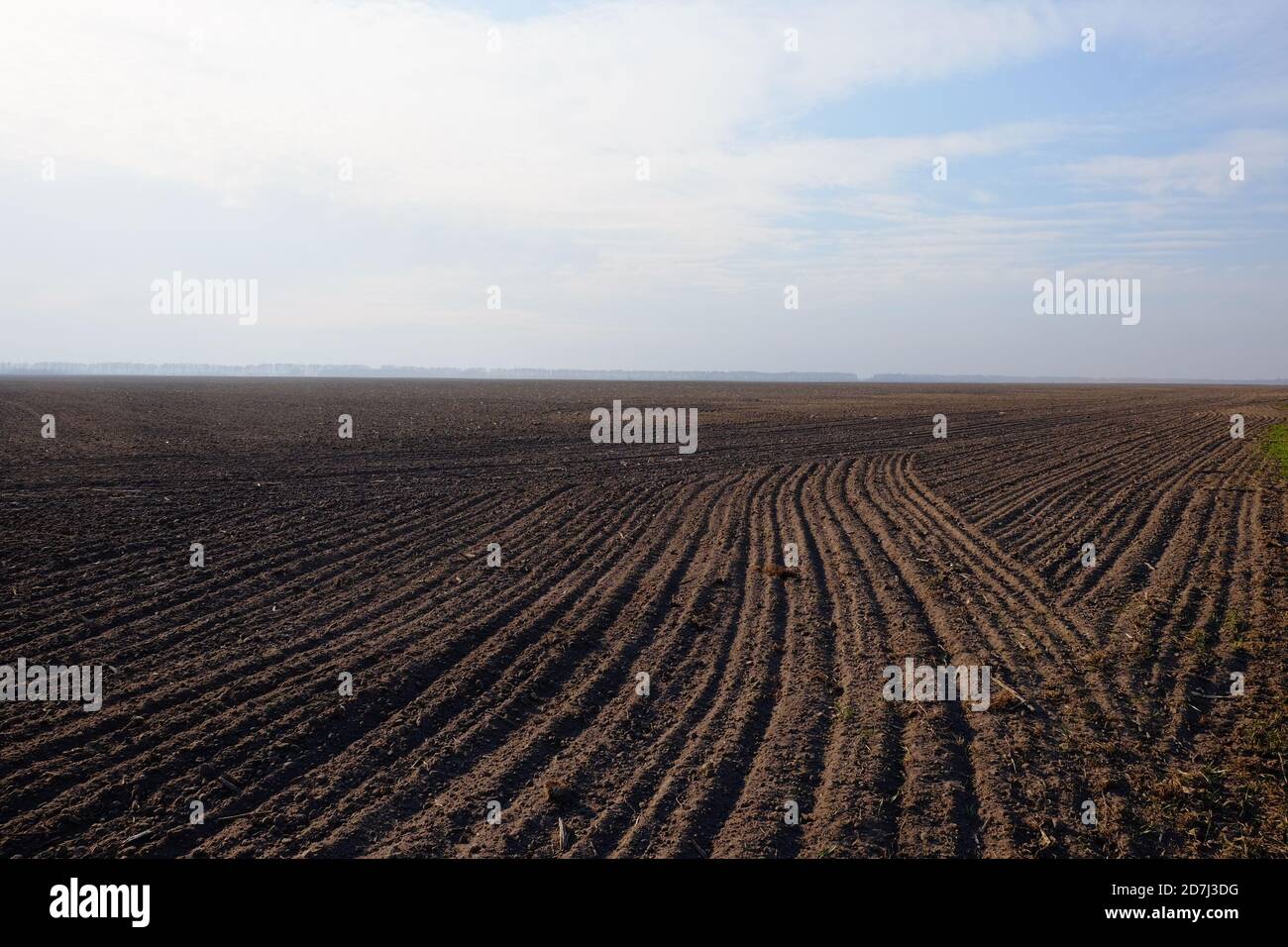 Non fertile soil hi-res stock photography and images - Alamy