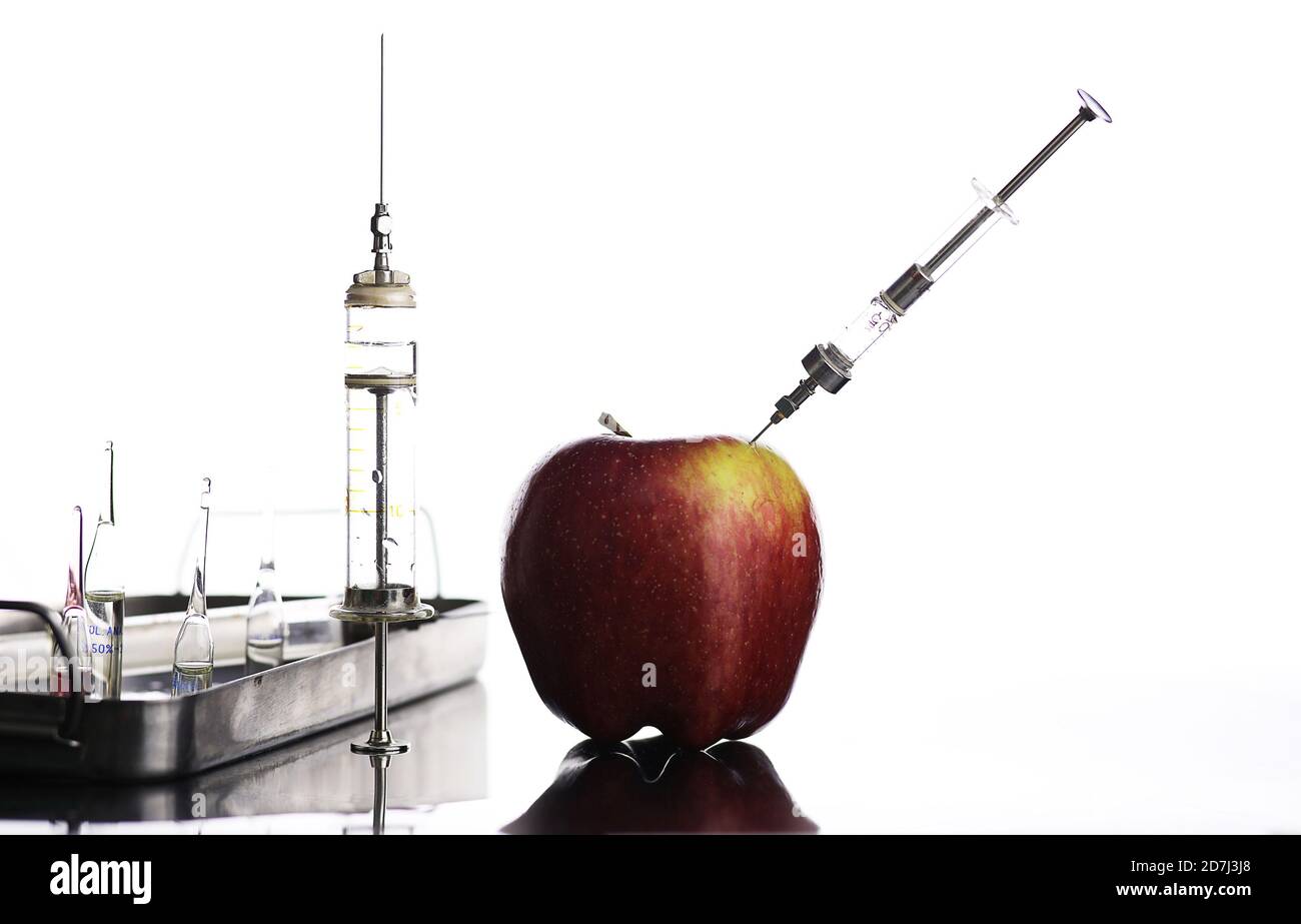 Genetically modified foods, apple pumped with chemicals Stock Photo - Alamy