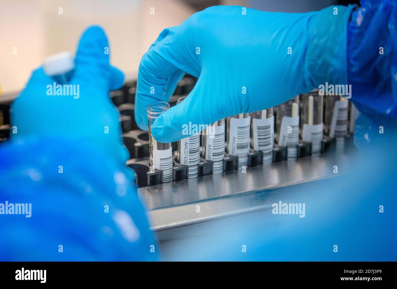 Patient samples are transferred by scientists into plates before ...