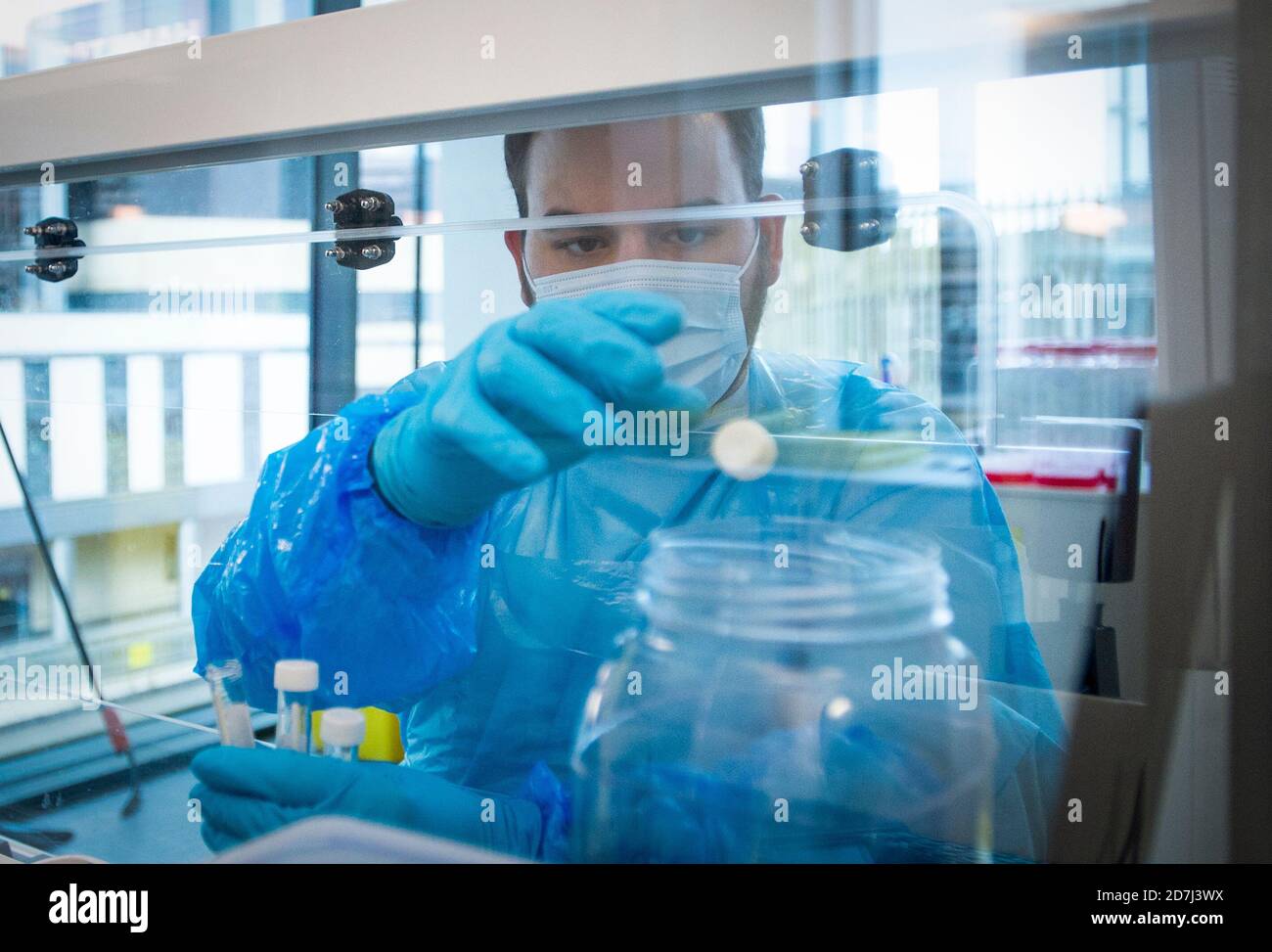 Patient samples are transferred by scientists into plates before ...