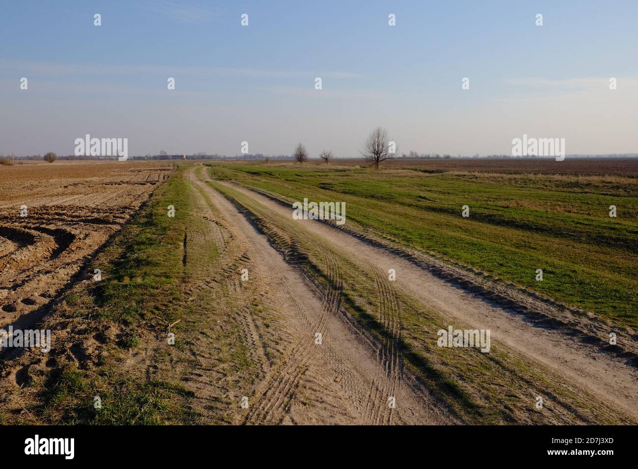 A narrow dirt road in an evening field. Clear blue sky over the field ...