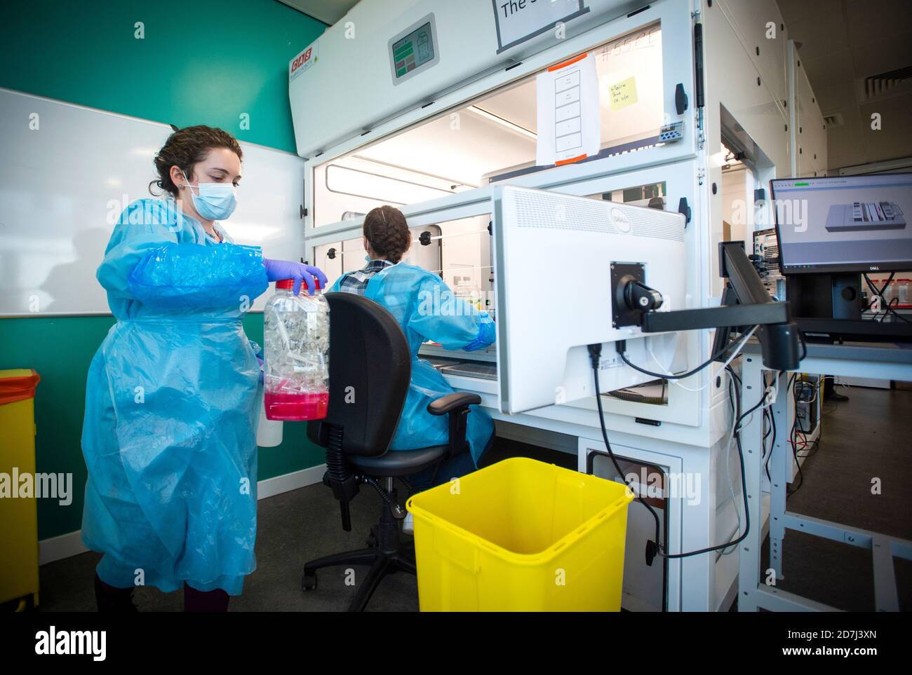 Patient samples are transferred by scientists into plates before ...