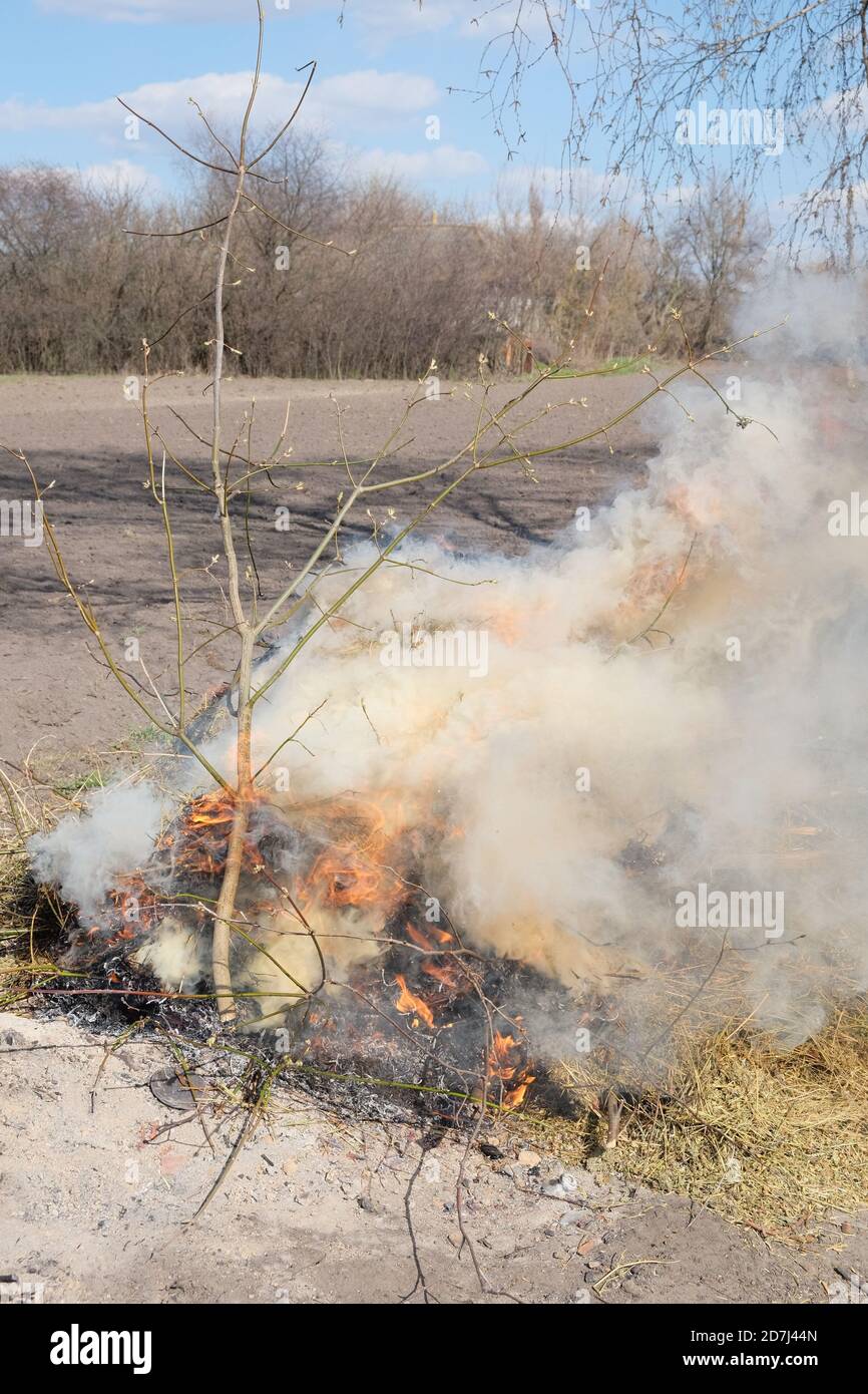 Big bonfire in the open air. A pile of ash from burnt boards and ...