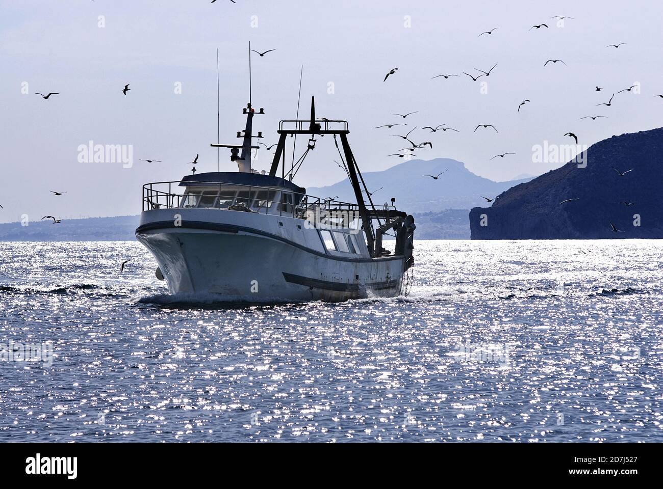 Beautiful view of ocean scenery with fishing boat, birds, and shiny ...