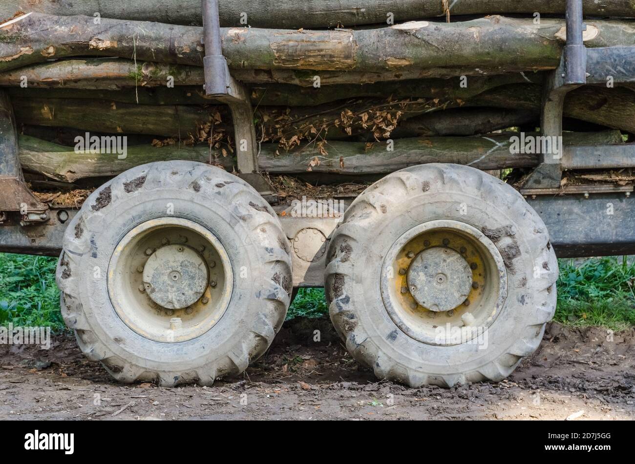 Deforestation forestry equipment harvester hi-res stock photography and ...