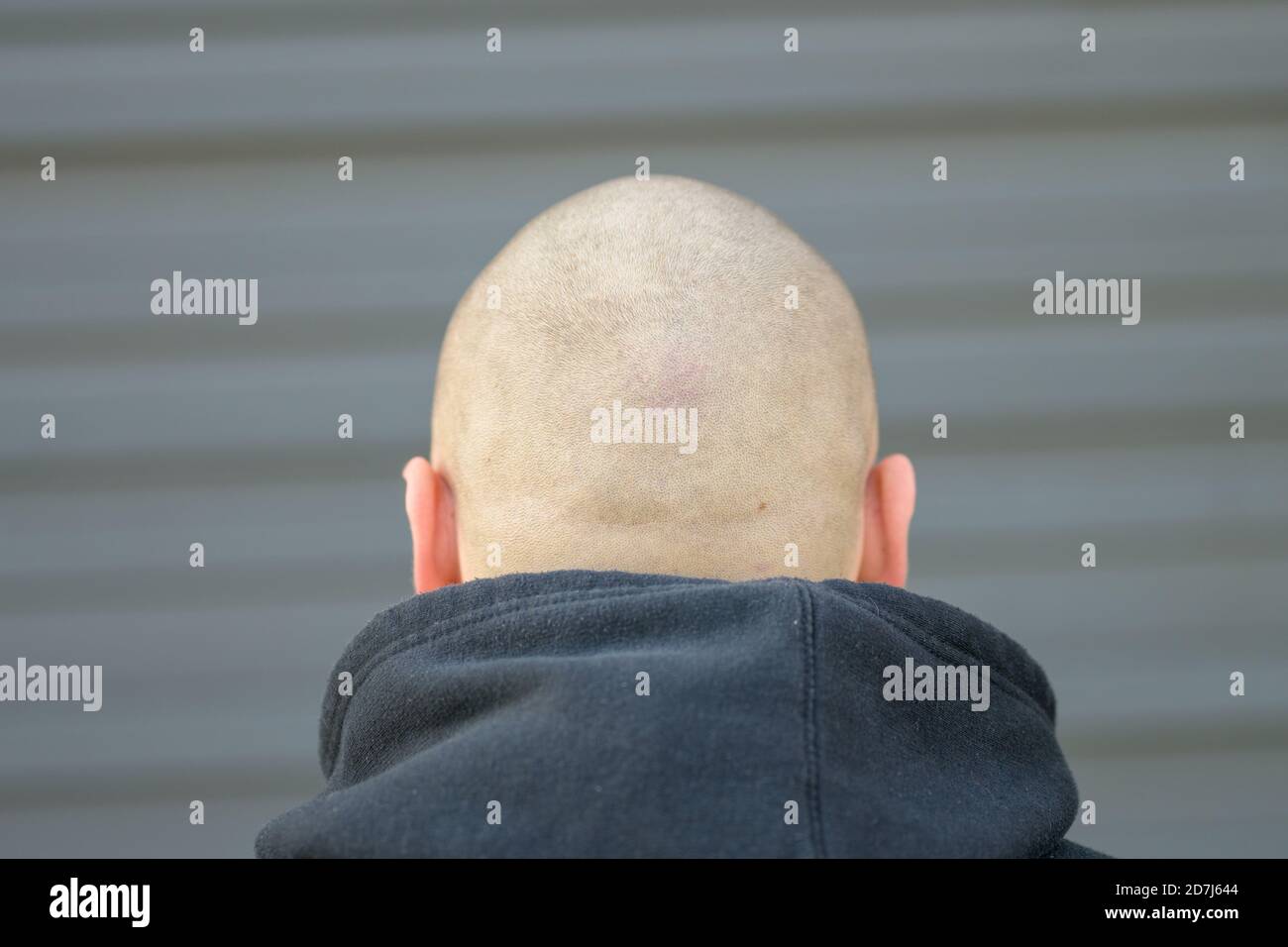 Grey rear head hi-res stock photography and images - Alamy