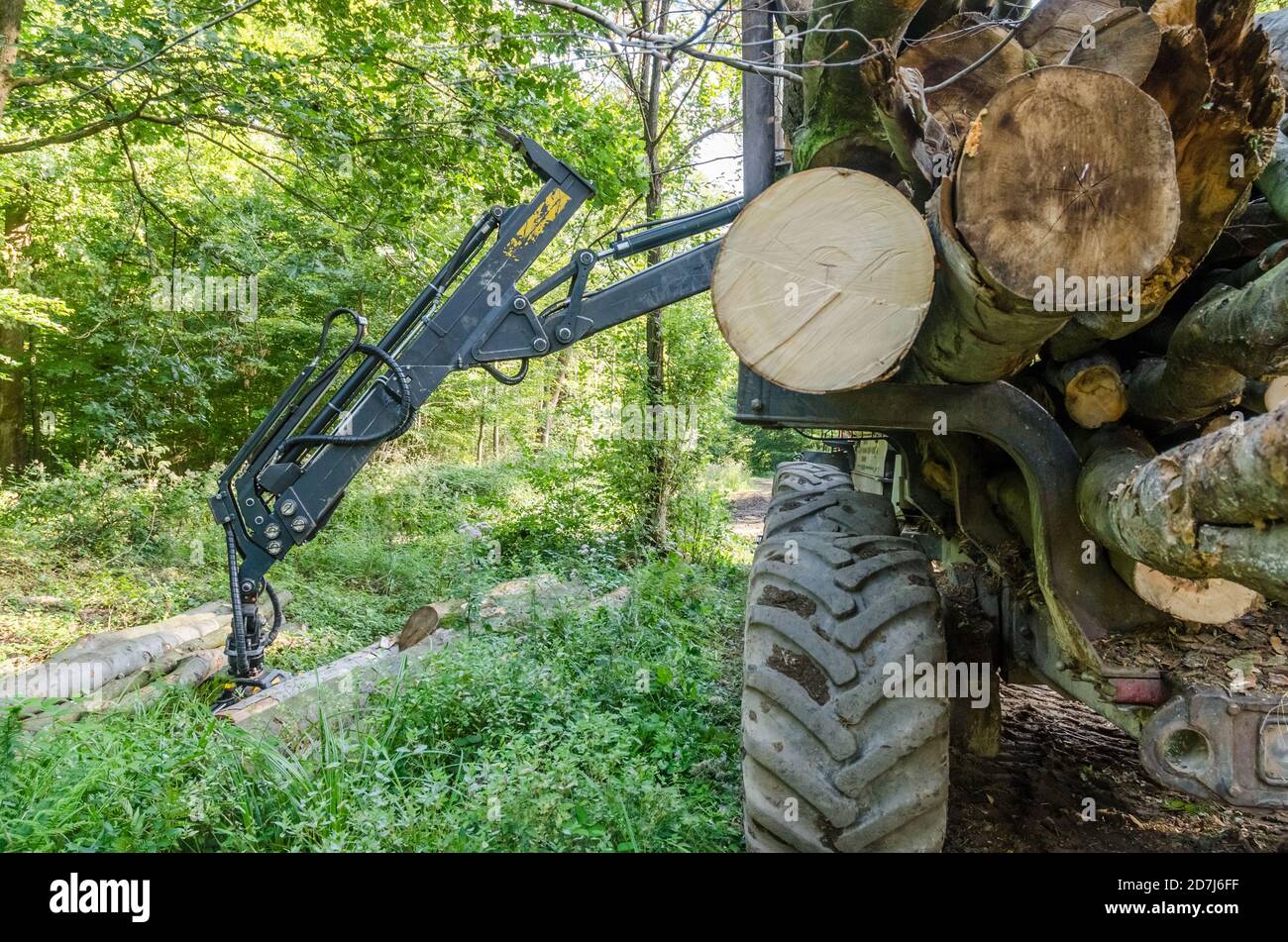 Forestry Forwarder High Resolution Stock Photography and Images - Alamy