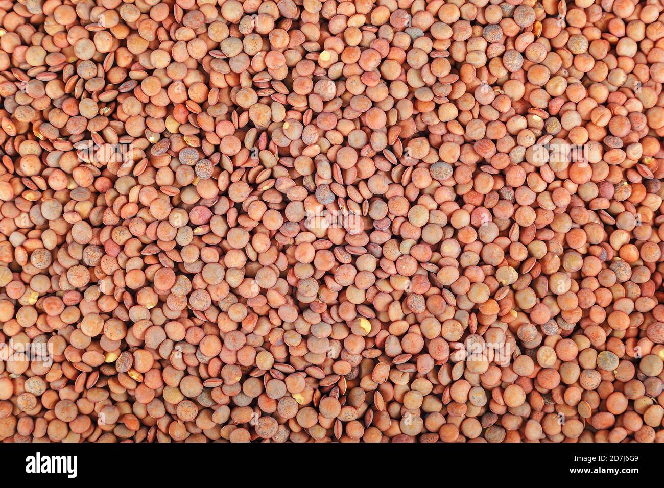 Grains of lentils as a background Stock Photo - Alamy