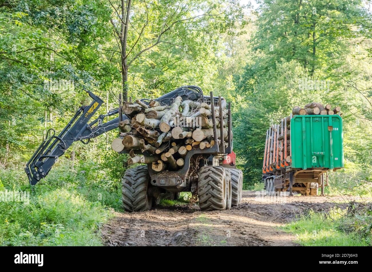 Machinery in forest Stock Photo - Alamy
