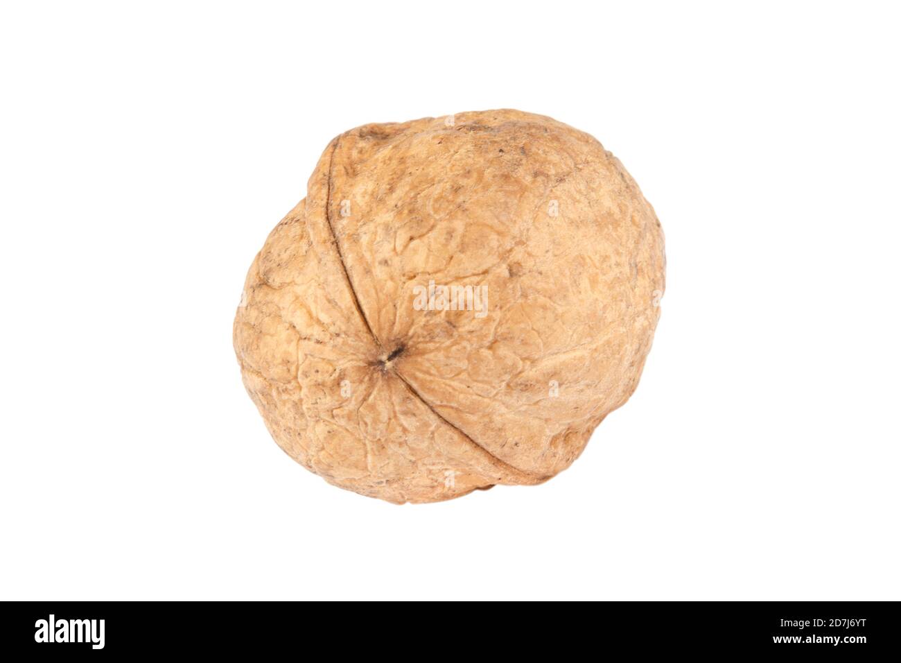 Mature dried walnuts in hi-res stock photography and images - Alamy