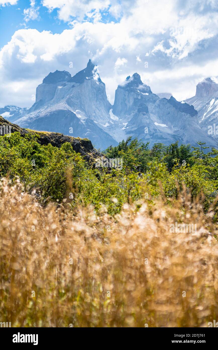 Beautiful granite mountains of Torres Del Paine in Chile Stock Photo ...
